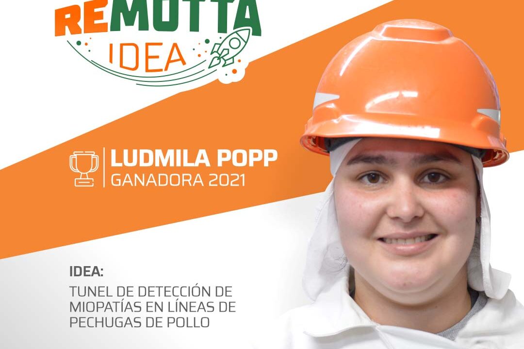 Noticias - Grupo Motta